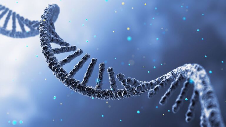 National Center for Gene Therapy and Drugs based on RNA Technology
